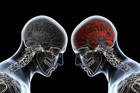 Commotions cérébrales: prévenir, détecter et gérer