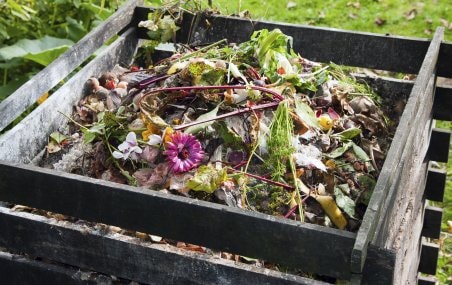 Ce printemps, je composte!