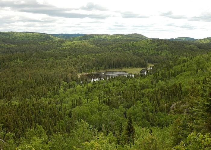 Trois questions à René Therrien