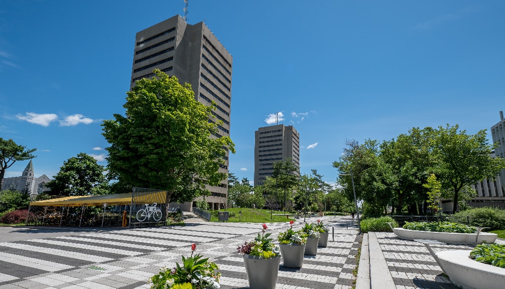 L’Université Laval au 36e rang du classement mondial des universités ...