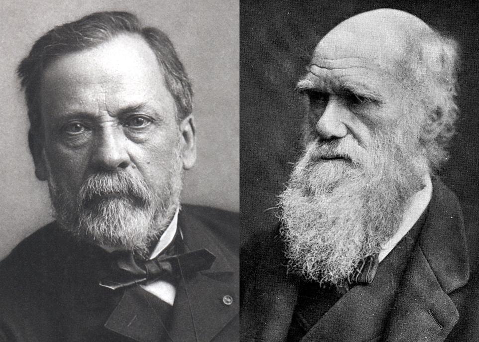 Pasteur et Darwin