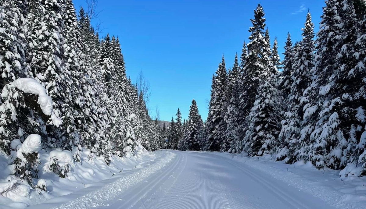 Le ski de fond de retour dès les premières neiges à la Forêt Montmorency